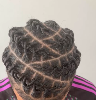 👩🏾 89 idées Coiffures BARREL TWIST : Photos & Videos Coiffure Afro ! France