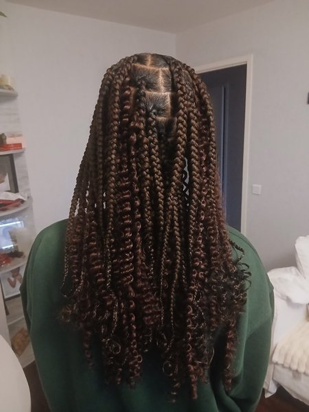 👩🏾 Bohemian Braids Femme VIDEO (CkBeauty) - Coiffure Afro sur GENEVE ...