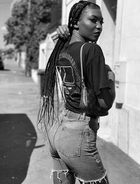 Braids Idées Coiffure Afro Tresses Vanille Tissage Locks