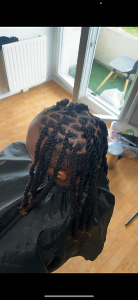 Locks + vanilles (Fentylocks) - Coiffure Afro France