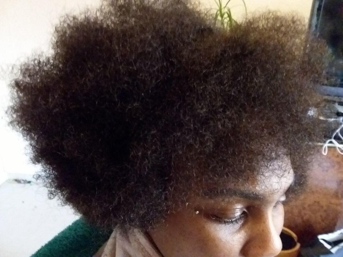 Locs (Livy hairstyle ) - Coiffure Afro France
