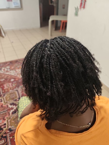 👩🏾 Micro twist (Marama) - Coiffure Afro sur PARIS - MARNE-LA-VALLEE ...